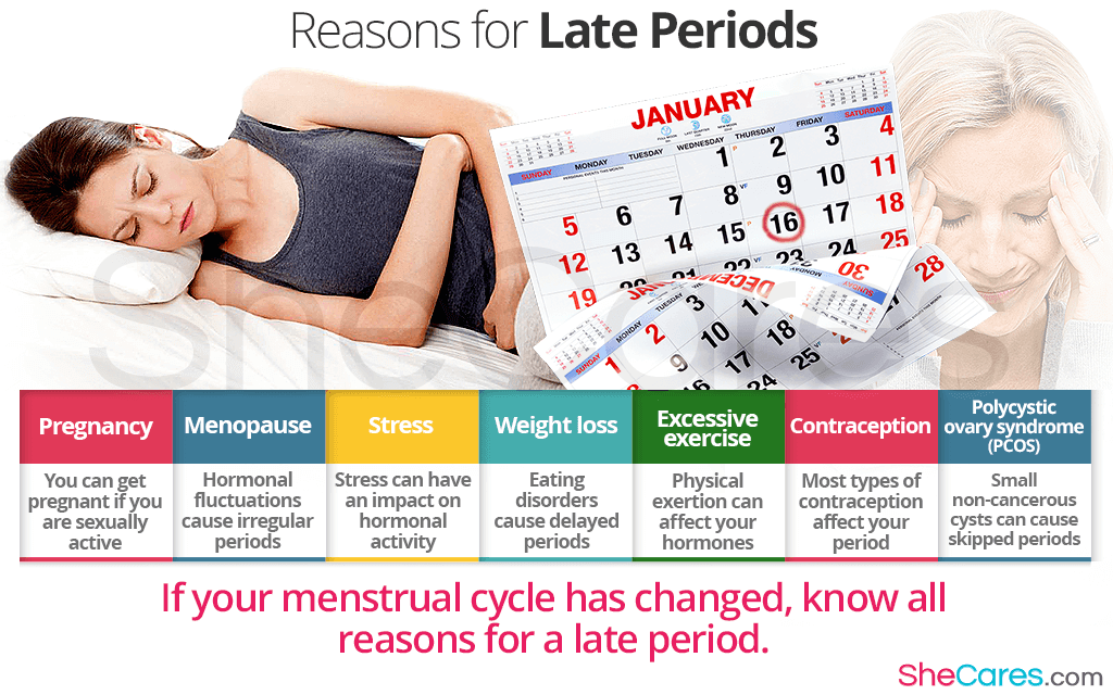 Reasons For Late Periods SheCares
