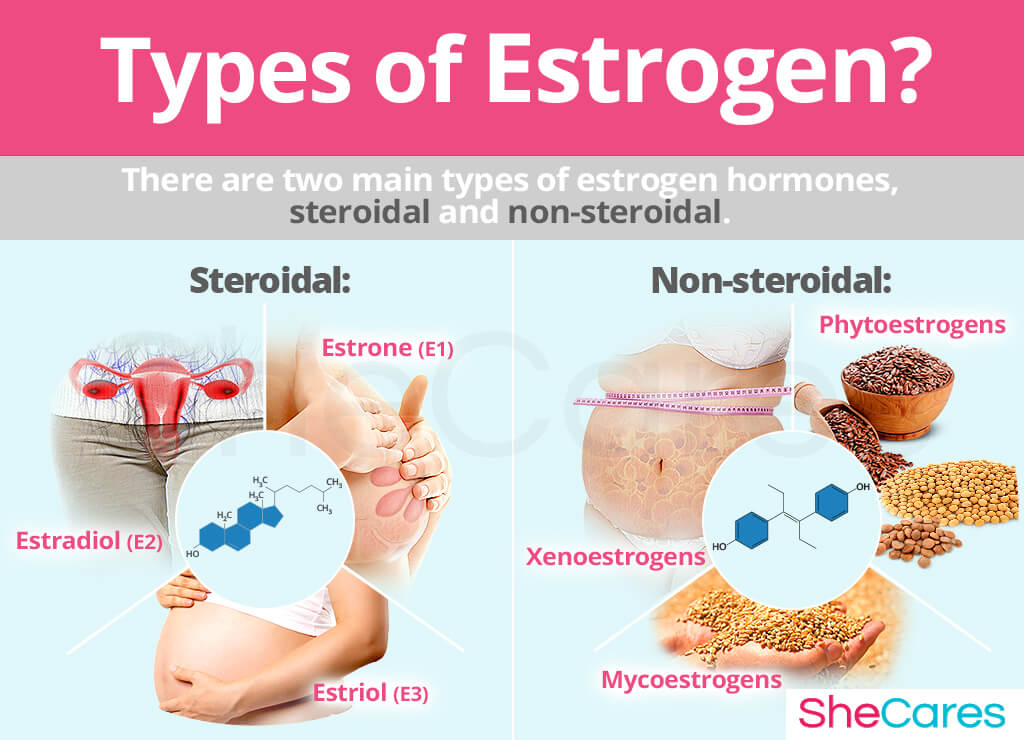 About Estrogen Understanding Estrogens Function Shecares